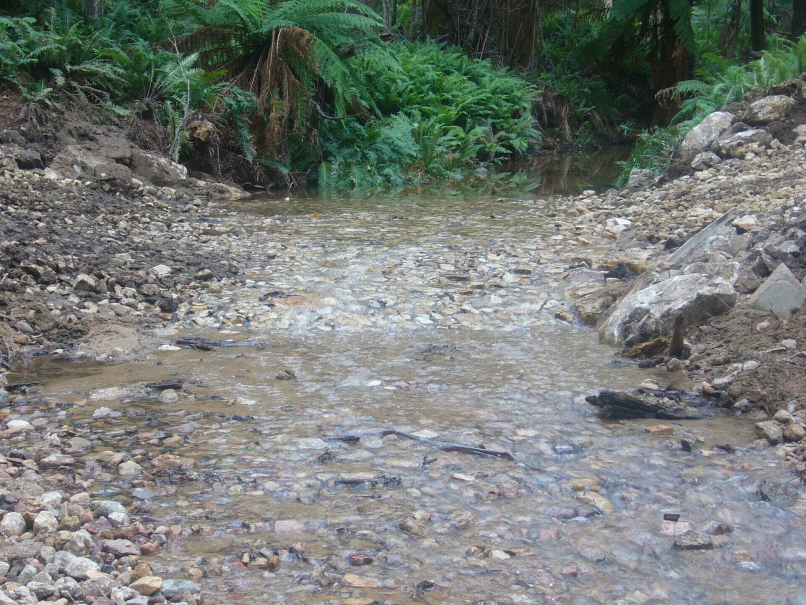 Tamworth Regional Landcare Association - Flood Damage and Creek ...