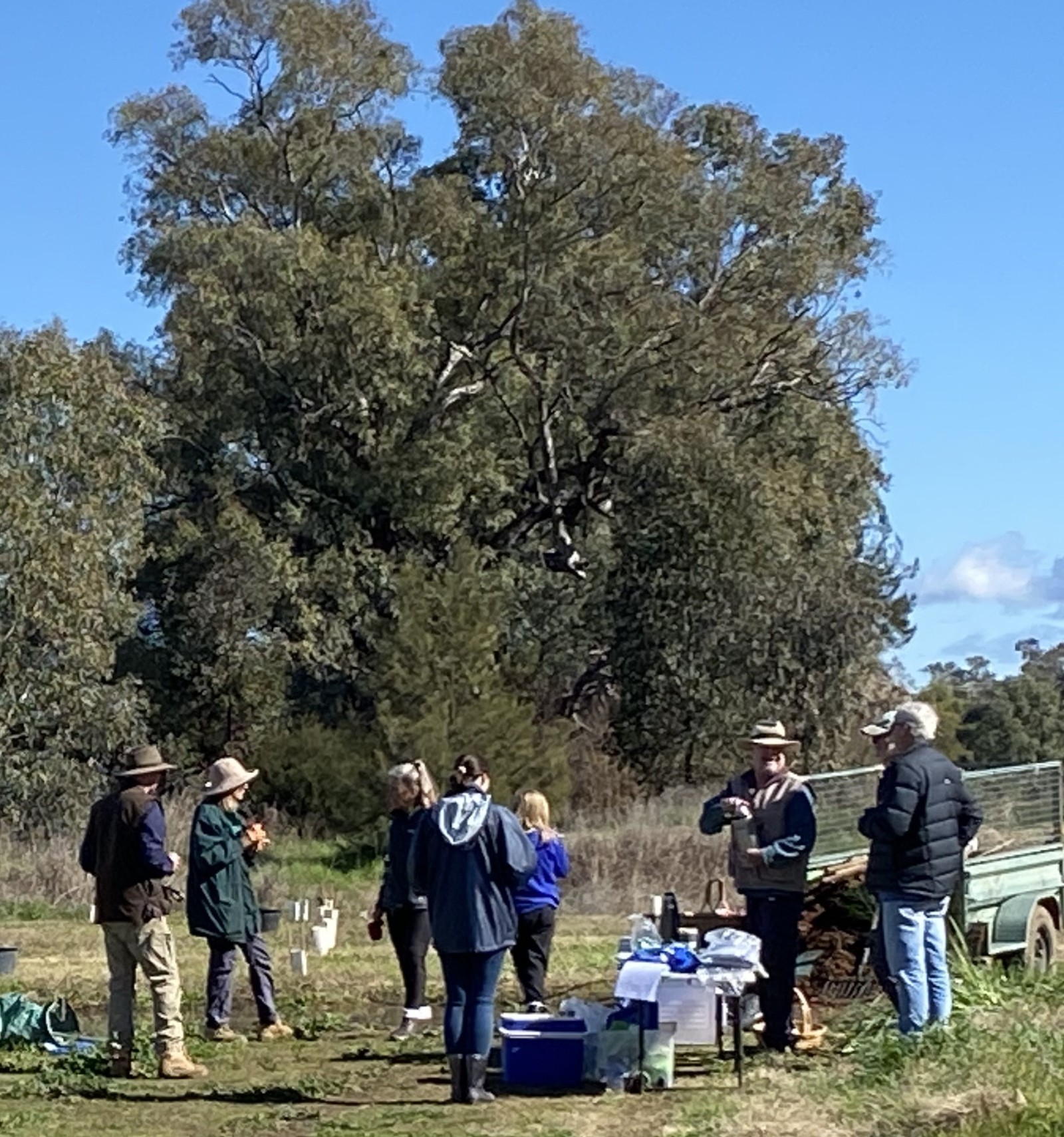 Tamworth Regional Landcare Association - Celebrating National Tree Day ...