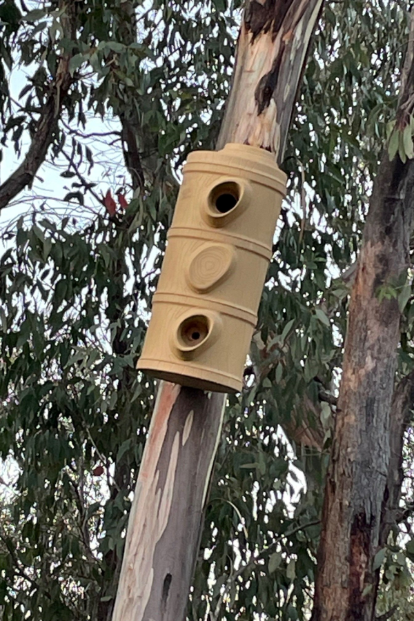 Tamworth Regional Landcare Association - Habitat augmentation