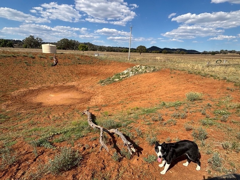 Tamworth Regional Landcare Association - Transforming Farm Dams into ...