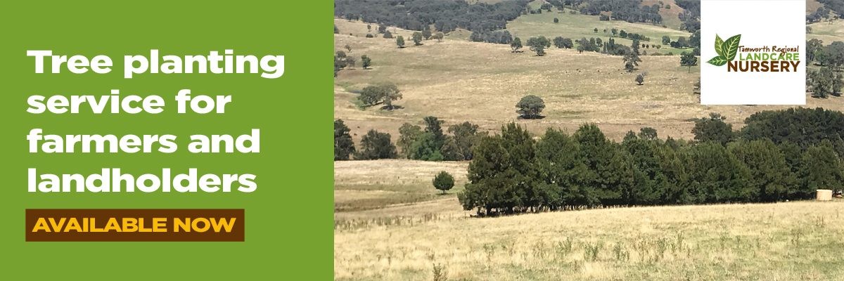 Tamworth Regional Landcare Association - Tree Planting Service
