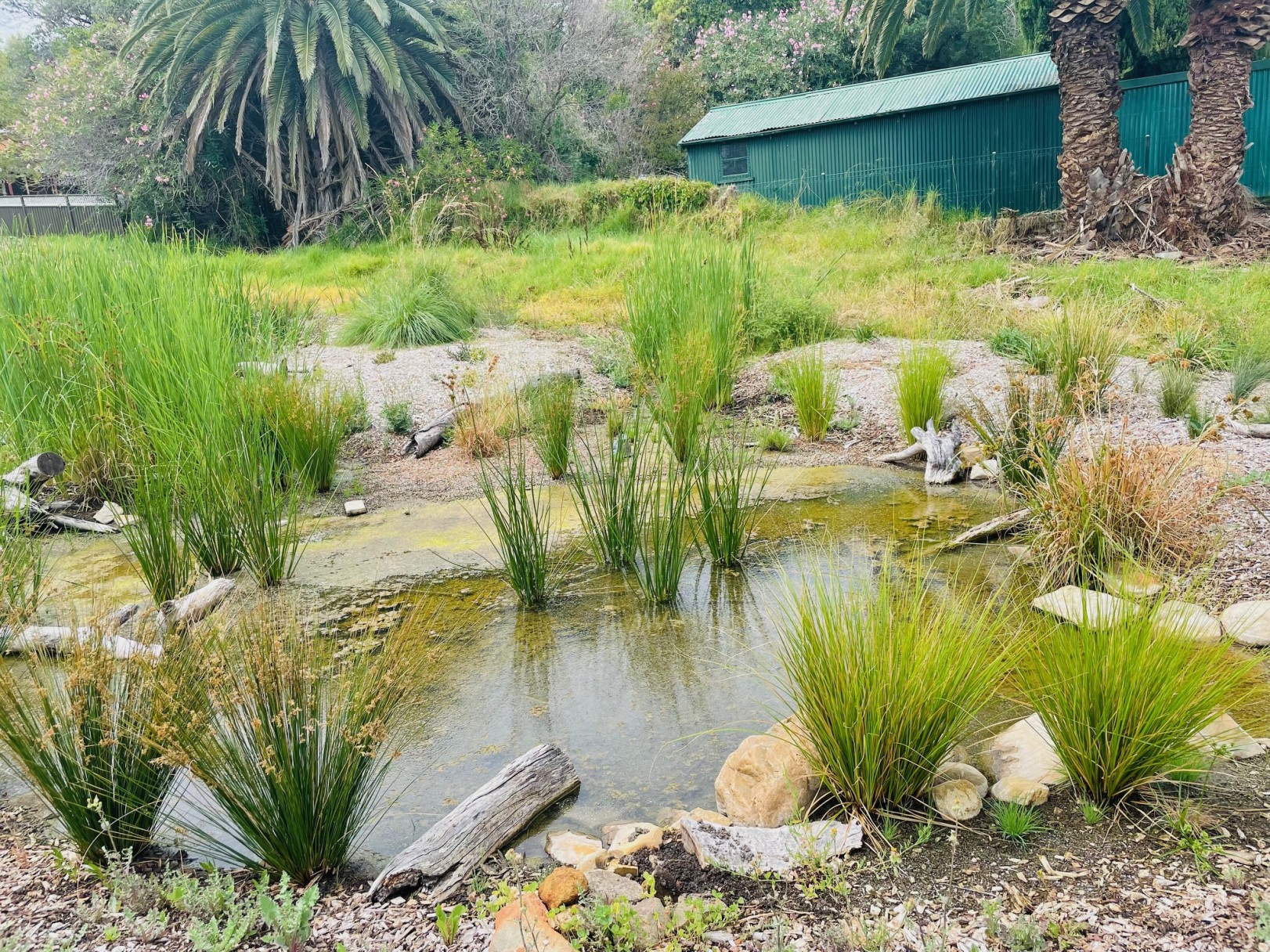 Tamworth Regional Landcare Association - Small Grants Projects